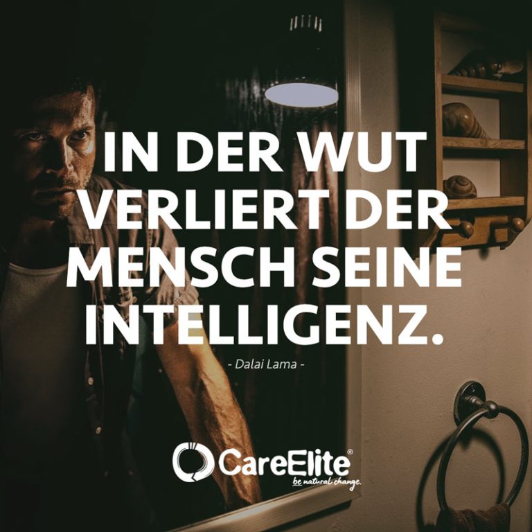 Intelligenz Zitate: 40 Sprüche über den Verstand | Inspirierende-Zitate.de